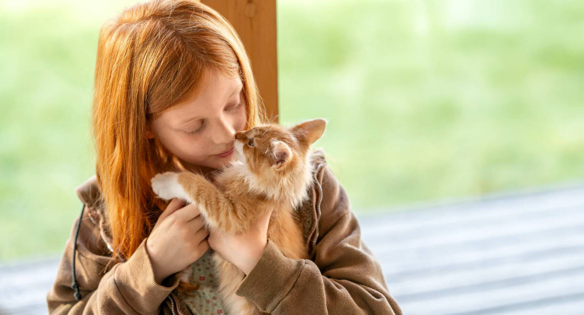Sur races de chats dans la région Chat - Agria Assurance pour animaux